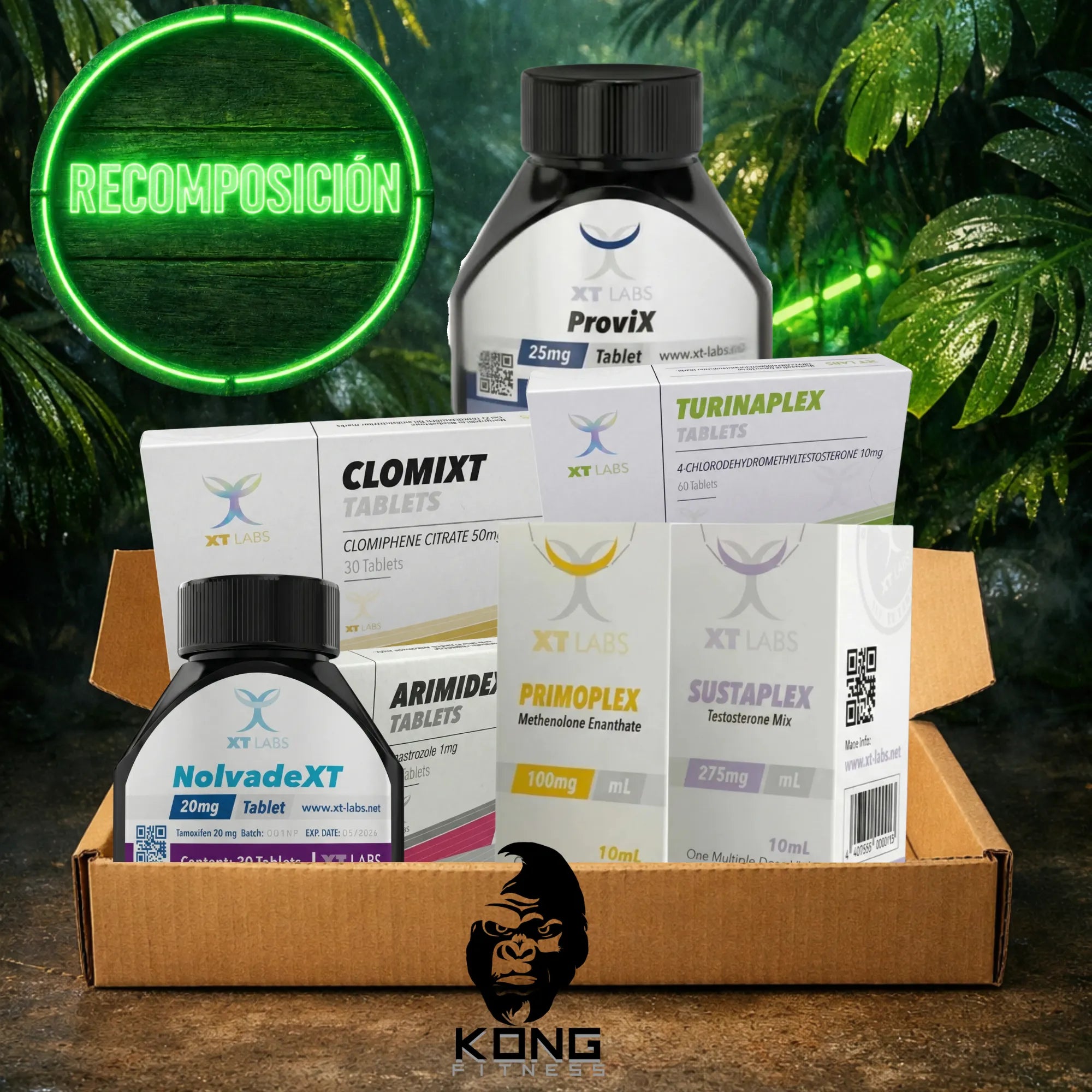 CICLO RECOMPOSICIÓN CORPORAL (VOLUMEN MAGRO) XT LABS – KONG FITNESS
